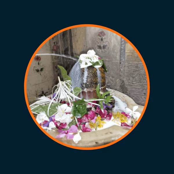 Rudra Abhishek Pooja (Online – 45 Minutes) – Ekagrata KarmaTalks
